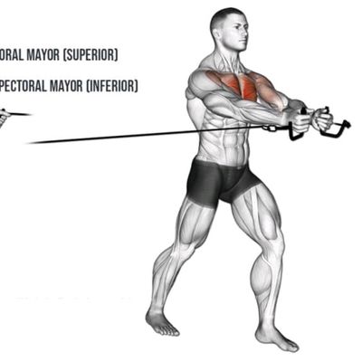 Apertura Pecho Polea Alta - Exercise How-to - Workout Trainer by Skimble