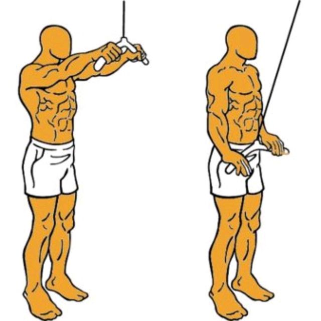 Tirón Polea Agarre Barra by Javier C. - Ejercicio Cómo hacerlo - Skimble