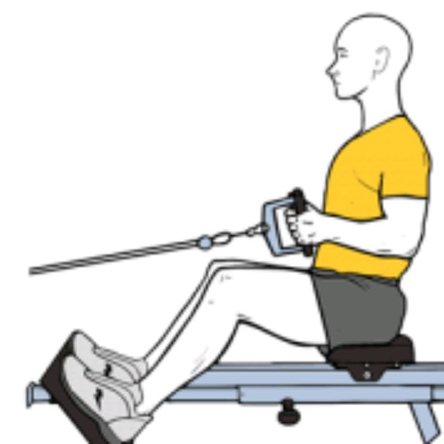 Remo Sentado by Javier C. - Ejercicio Cómo hacerlo - Skimble