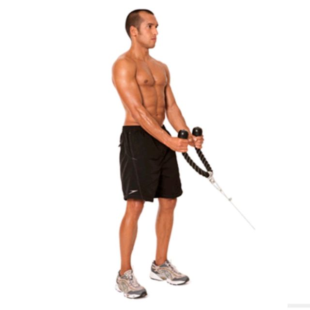 Curl En Polea Agarre Cuerda - Exercise How-to - Workout Trainer by Skimble