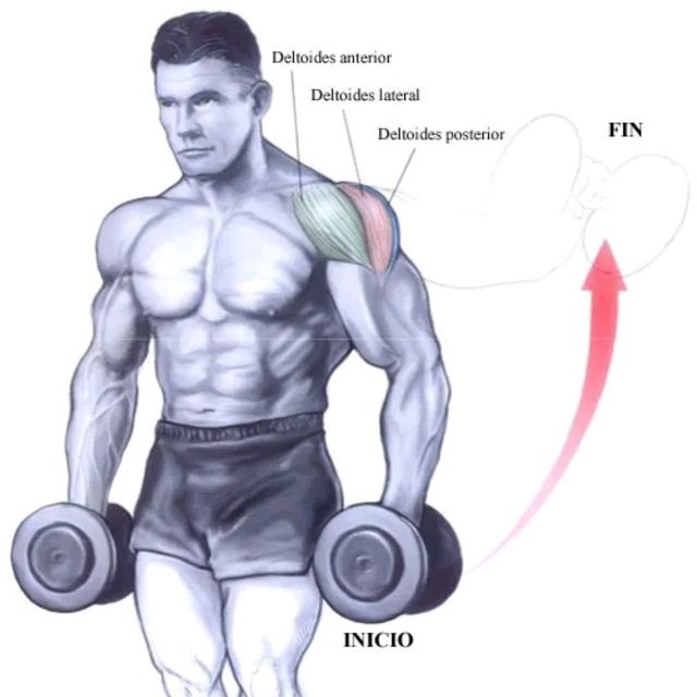 Elevaciones Laterales by Javier C. - Ejercicio Cómo hacerlo - Skimble
