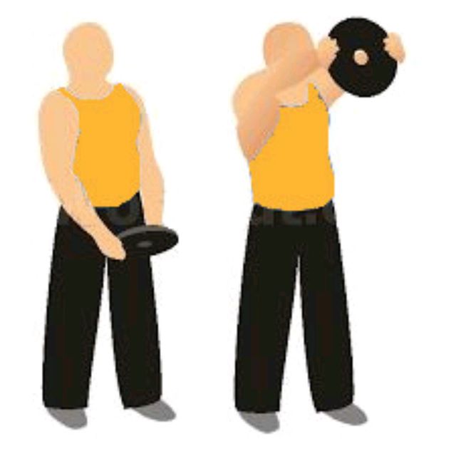 Elevaciones Frontales Con Disco by Javier C. - Ejercicio Cómo hacerlo ...