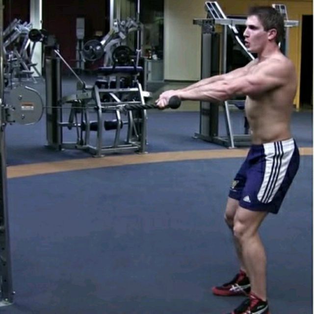 Low Face Pull by Jesus Alfonso Tapia Bocio - Exercise How-to - Skimble