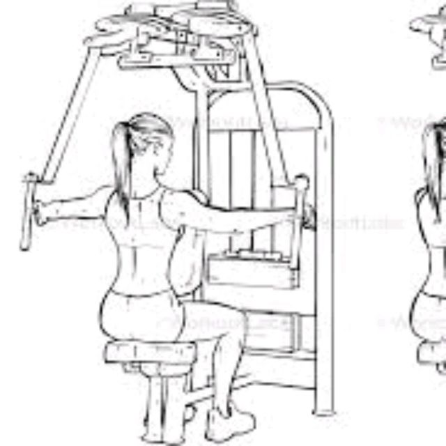 Rear Delt Machine by Blissed Out Baker -plant Based Chef - Exercise How ...