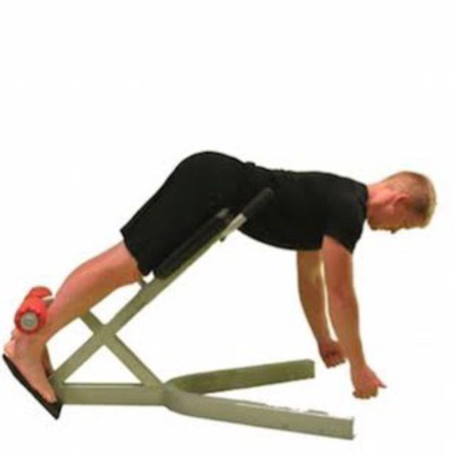 Dumbbell 45 Degree Hyper by Karen Mcm - Exercise How-to - Skimble