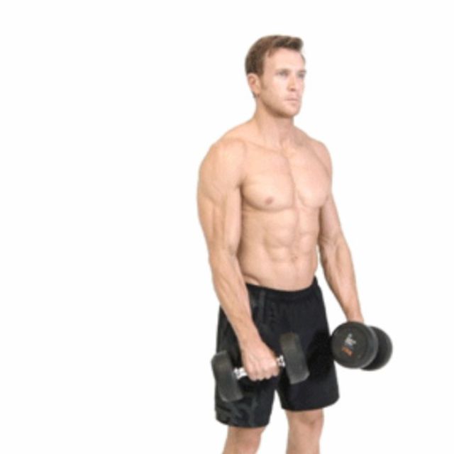 Reverse Dumbbell Curl by Resxcue Rx - Exercise How-to - Skimble