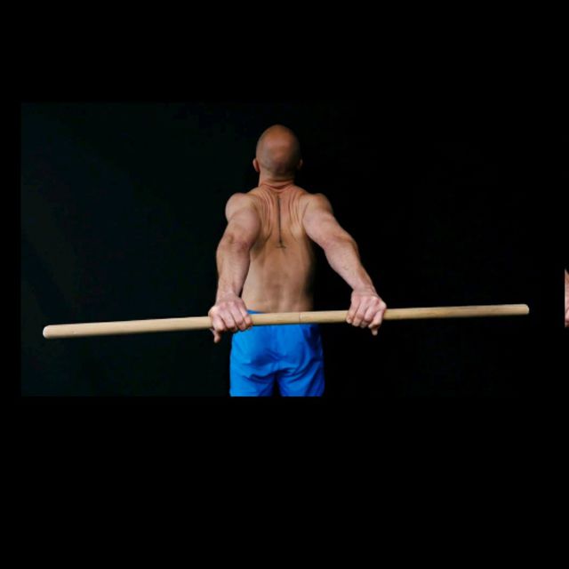Stick Shoulder Extension (Lev 2) - Exercise How-to - Workout Trainer by ...