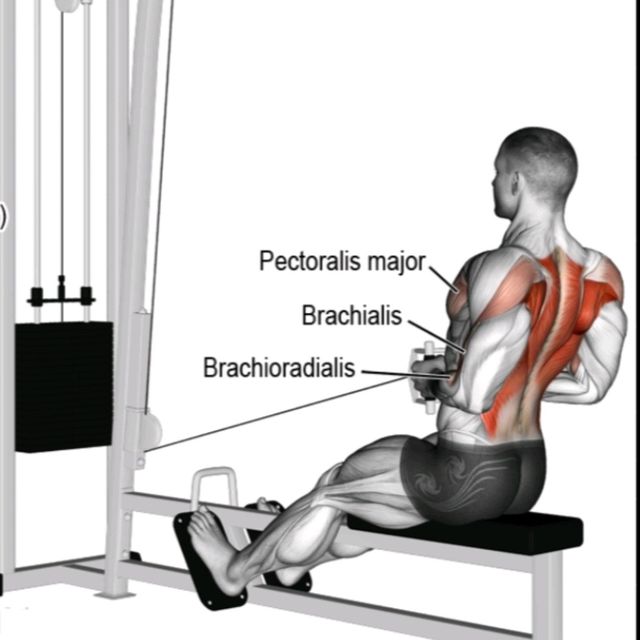 Double-row bar pulls (V-bar) by Anu K. - Exercise How-to - Skimble