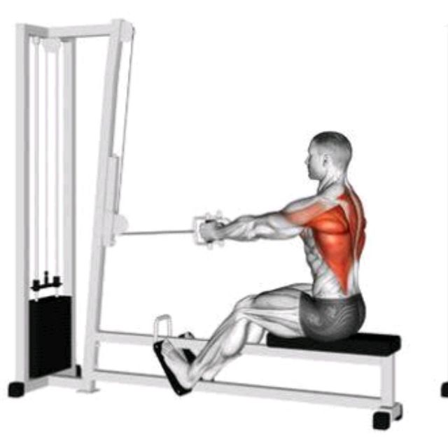 Seated Cabel Row by Joh M. - Exercise How-to - Skimble