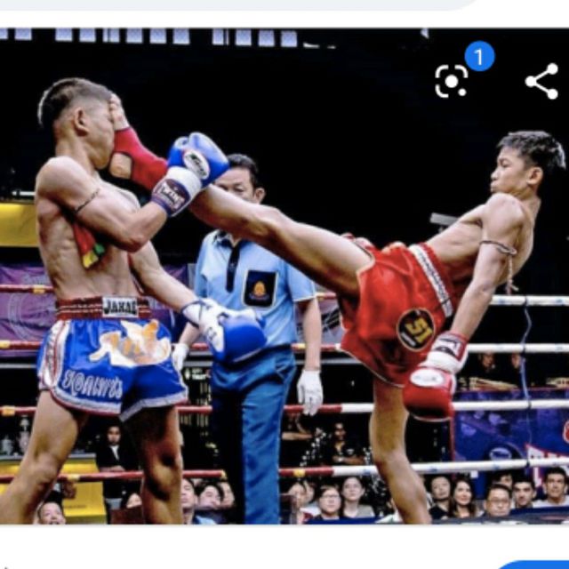 Slapping Push Kick – Teep Top par Bernadette Cordeau - Comment faire de ...