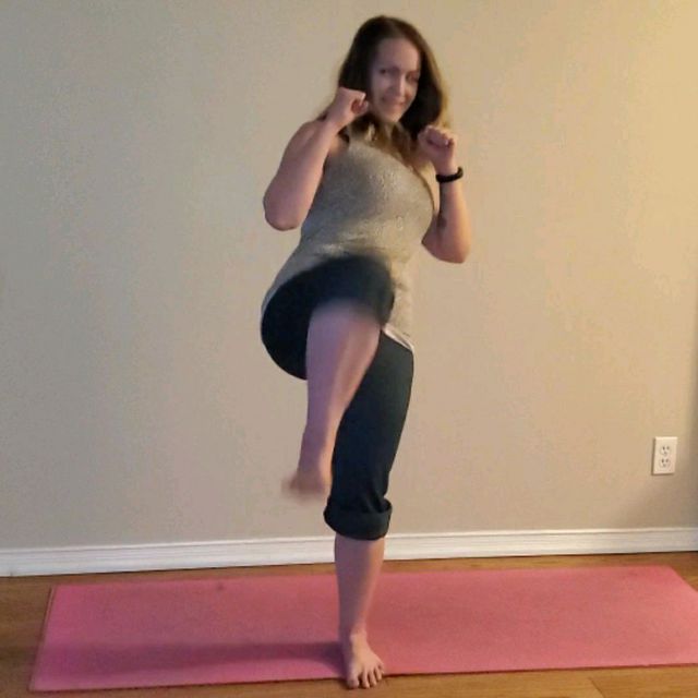 Right Front Snap Kick • Ap Chagi - Exercise How-to - Workout Trainer by ...