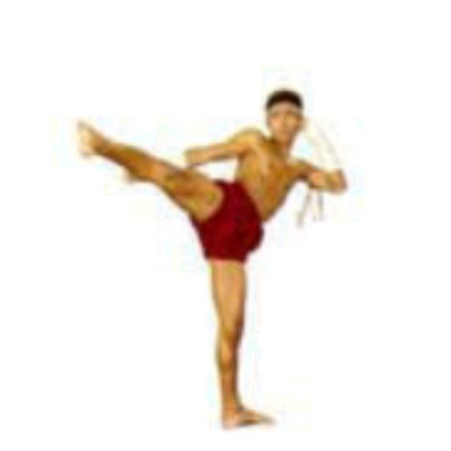 Diagonal Kick – Te Chiang - Exercise How-to - Workout Trainer by Skimble