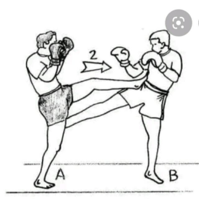 Straight Front Kick – Te Trong - Exercise How-to - Skimble