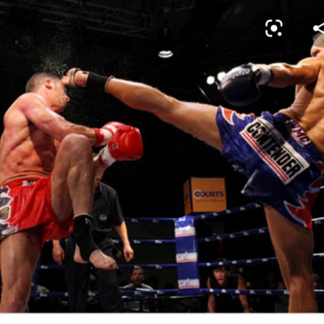 High Round Kick by Bernadette Cordeau - Exercise How-to - Skimble