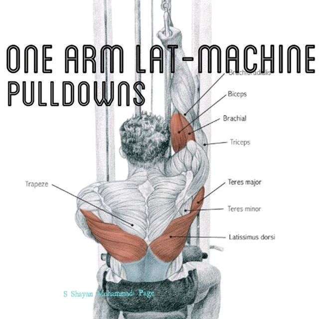 One Arm Lat-Machine Pulldowns by Paulo M. - Exercise How-to - Skimble