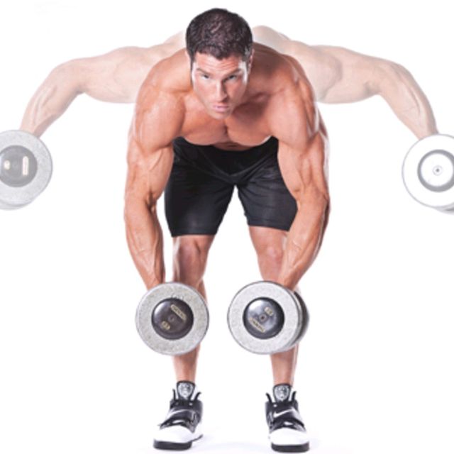 Bent-Over Dumbbell Lateral Raise - Exercise How-to - Workout Trainer by ...