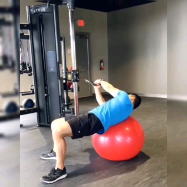 Swiss Ball Trunk Rotations (right) - Exercise How-to - Workout Trainer ...