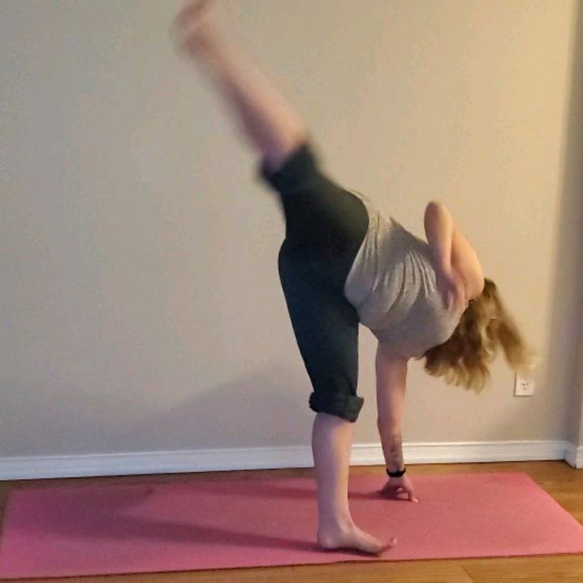 Windmill Kick - Exercise How-to - Workout Trainer by Skimble