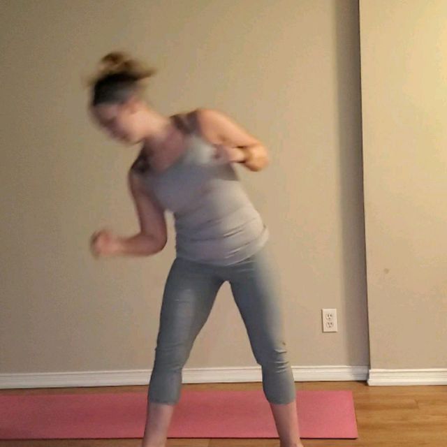 Windmill Kick - Exercise How-to - Workout Trainer by Skimble