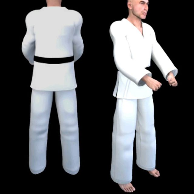 Taekwondo Form 2 • Taegeuk Ee Jang 🟡🥋🔥 - Free Shoulder Workout by ...