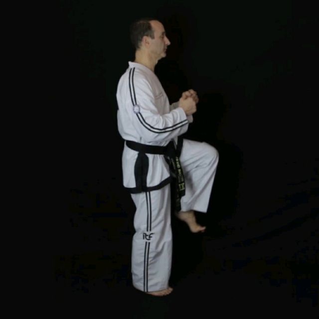 Left Front Snap Kick • Ap Chagi by Bernadette Cordeau - Exercise How-to ...