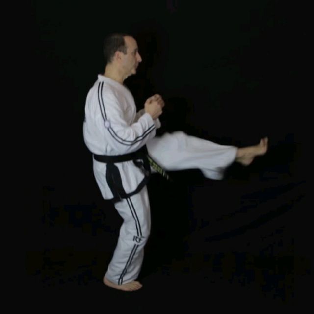 Left Front Snap Kick • Ap Chagi by Bernadette C. - Exercise How-to ...