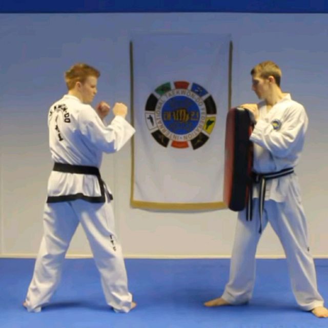 Spinning Back Kick - Left • Dwi Chagi by Bernadette Cordeau - Exercise ...