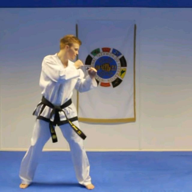 Spinning Back Kick - Left • Dwi Chagi by Bernadette Cordeau - Exercise ...