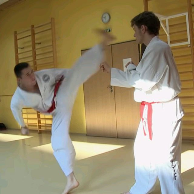 Wheel Kick - Left • Bandae Dollyo Chagi by Bernadette C. - Exercise How ...