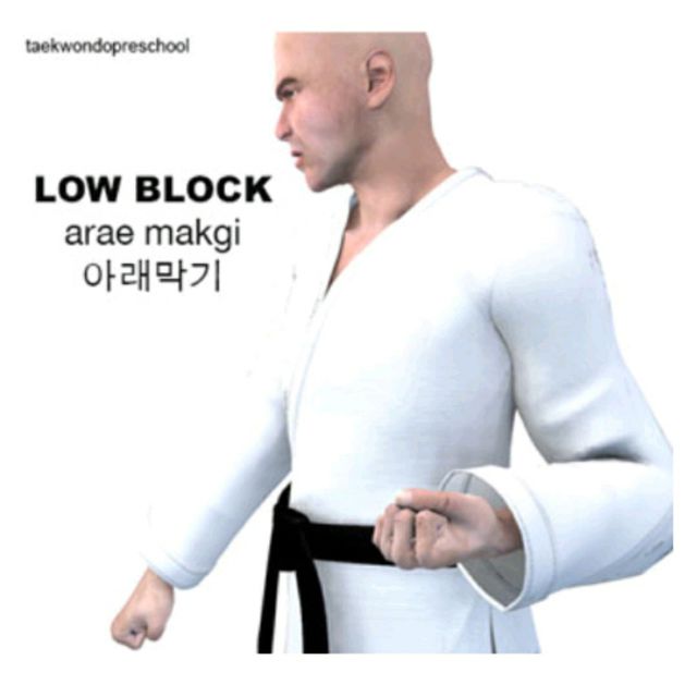 Right Low Block • Ap Seogi Arae Makki - Exercise How-to - Workout ...