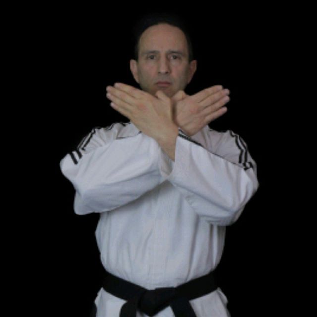 Parallel Stance X Back Hand • Narani So Kyocha Sodung Seogi - Exercise ...