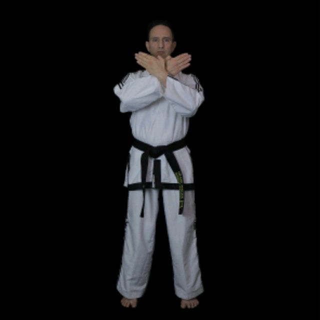 Parallel Stance X Back Hand • Narani So Kyocha Sodung Seogi by ...