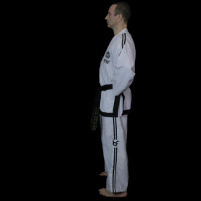 Parallel Stance Twin Side Elbow • Narani So Sang Yop Palkup Seogi by ...