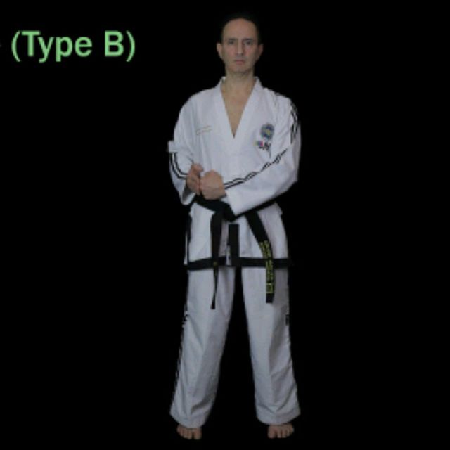 Warrior Ready Stance B • Moosa Joonbi Seogi by Bernadette C. - Exercise ...