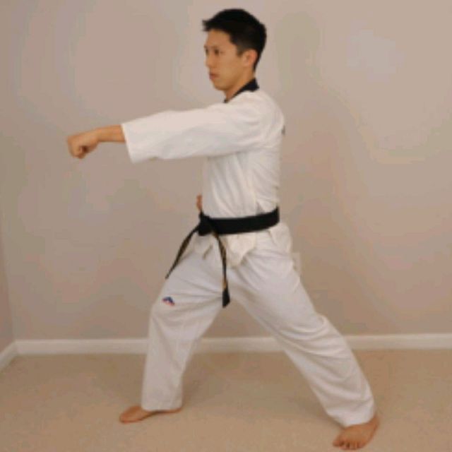 Walking Front Stance - Right • Ap Seogi by Bernadette Cordeau ...