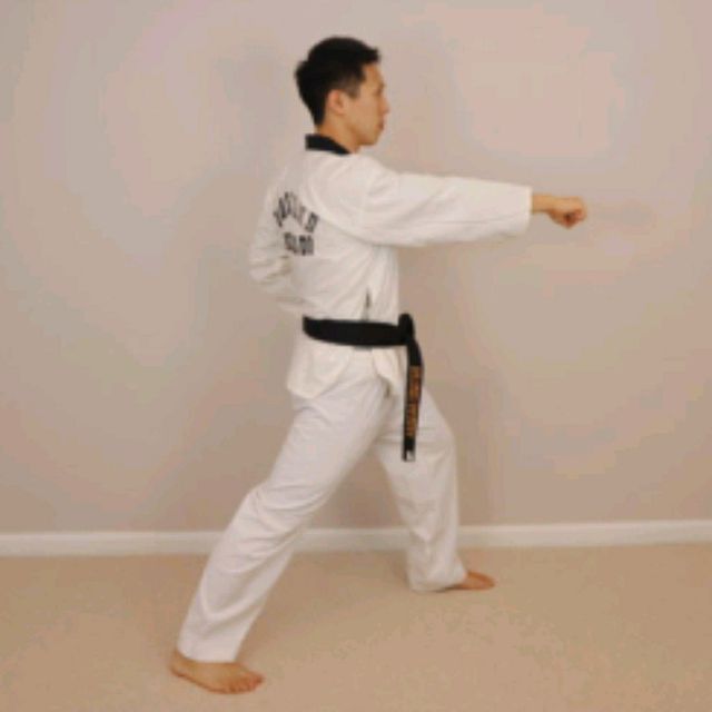 Walking Front Stance - Left • Ap Seogi by Bernadette Cordeau - Exercise ...