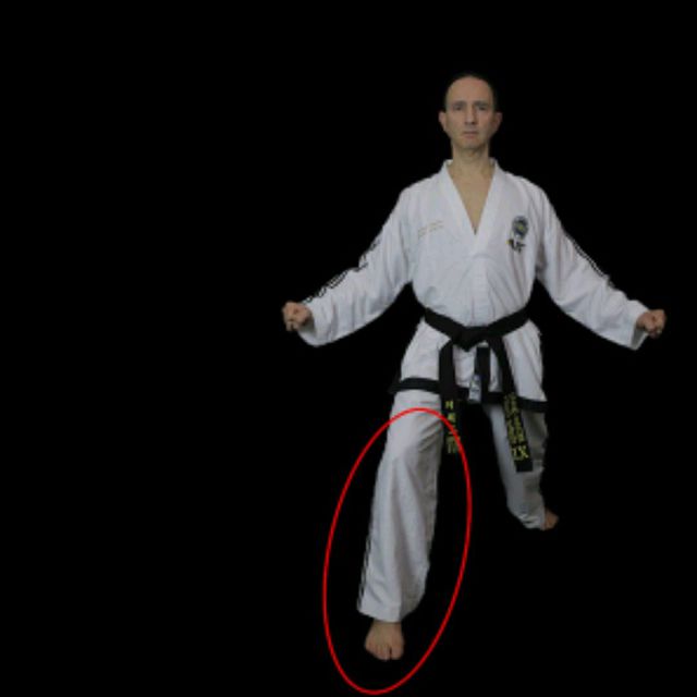 Walking Front Stance - Right • Ap Seogi by Bernadette C. - Exercise How ...