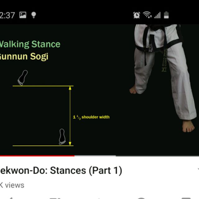 Walking Front Stance - Left • Ap Seogi by Bernadette Cordeau - Exercise ...