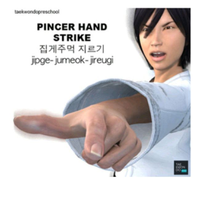 Pincer Strike/Punch - Left • Jipge Jumeok Jireugi by Bernadette C ...