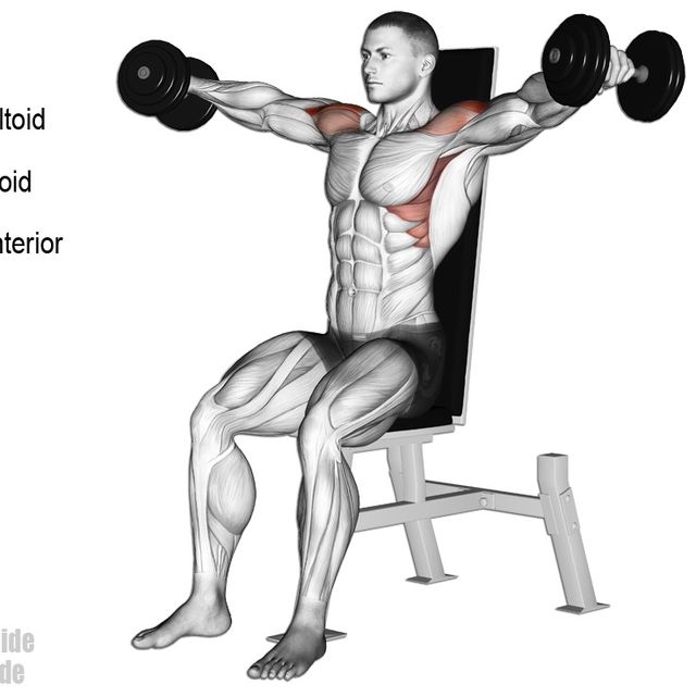 Seated Lateral Raise by Gabrielle M. - Exercise How-to - Skimble