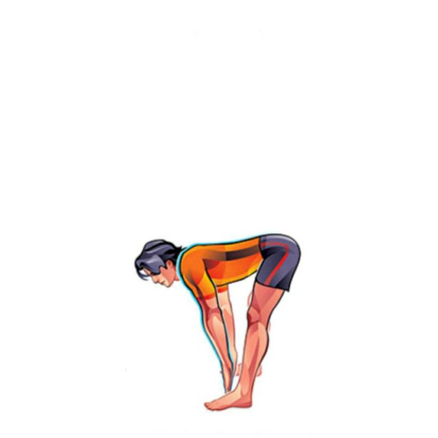 Four Point Squat by Patricie K - Exercise How-to - Skimble