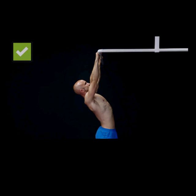 Active Hang (Hold) - Exercise How-to - Workout Trainer by Skimble
