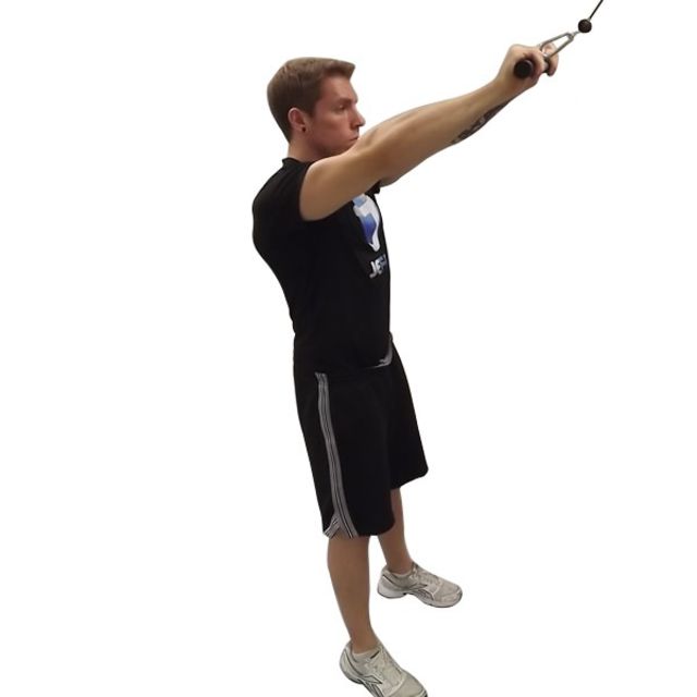 Band Pull Down Rows by Brian Fallon - Exercise How-to - Skimble