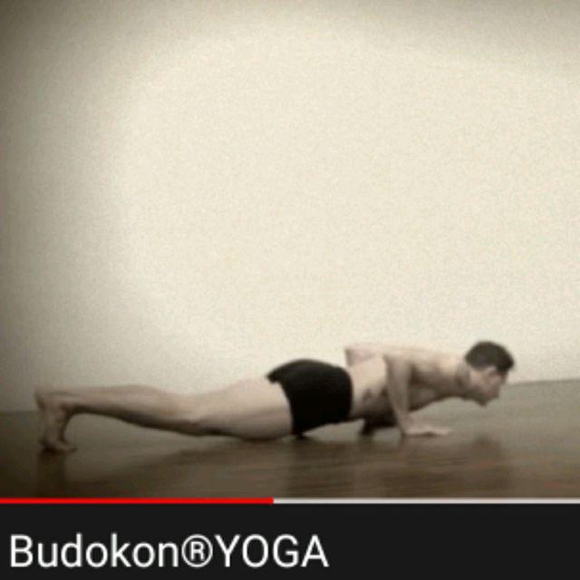 Crocodile Push - Exercise How-to - Workout Trainer by Skimble