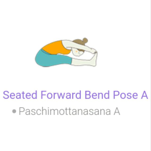 Seated Forward bend A by 𝔻𝕖𝕤𝕖𝕣𝕥 𝔽𝕠𝕩🦊 🌟 - Exercise How-to - Skimble