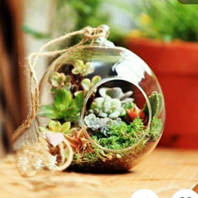 TASK by Vincent H. - Exercise How-to - Skimble Workout Trainer