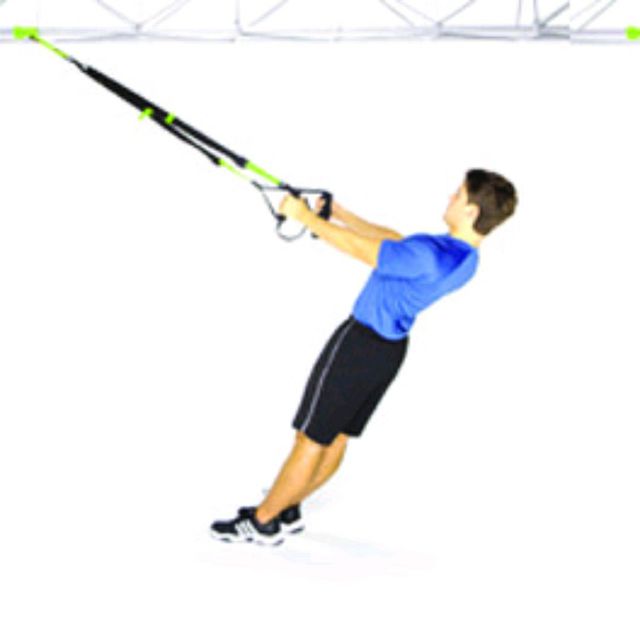 TRX row - Exercise How-to - Workout Trainer by Skimble