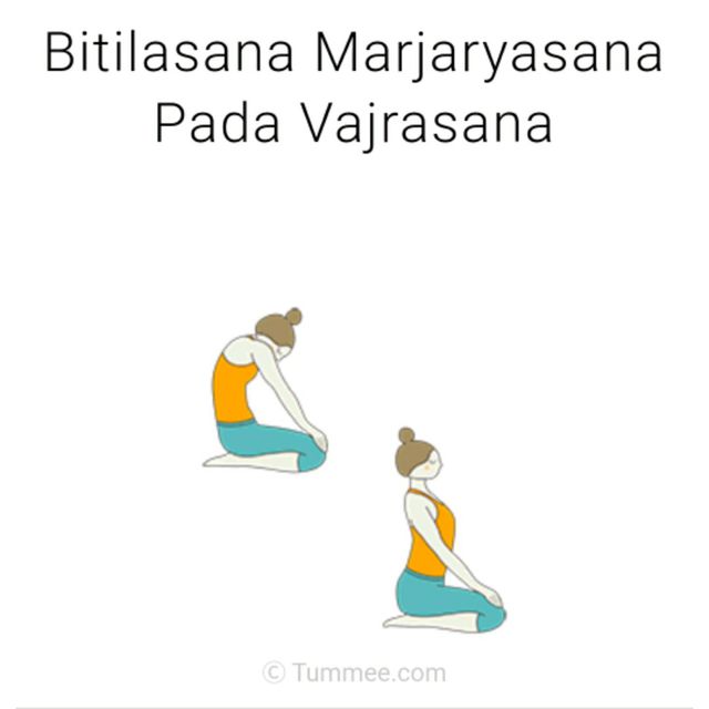 Cat Cow In Thunderbolt por 𝔻𝕖𝕤𝕖𝕣𝕥 𝔽𝕠𝕩🦊 🌟 - Ejercicio Cómo hacerlo - Skimble