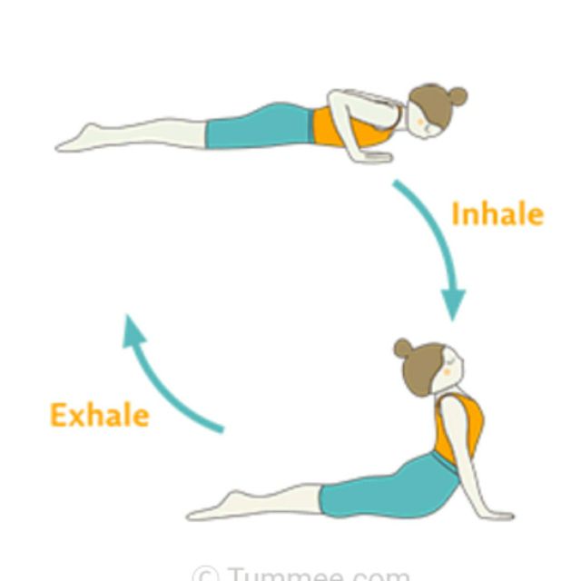 Cobra Flow by 𝔻𝕖𝕤𝕖𝕣𝕥 𝔽𝕠𝕩🦊 🌟 - Exercise How-to - Skimble