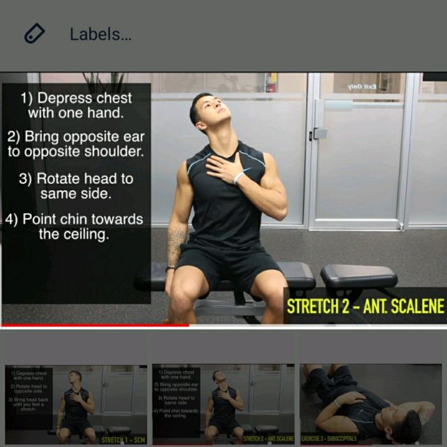 Anterior Scalene Stretch